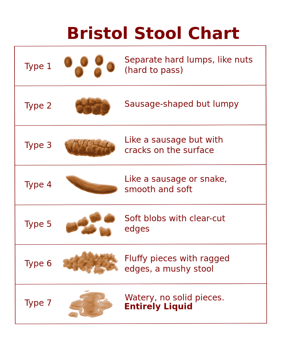 bristol stool scale - uludağ sözlük