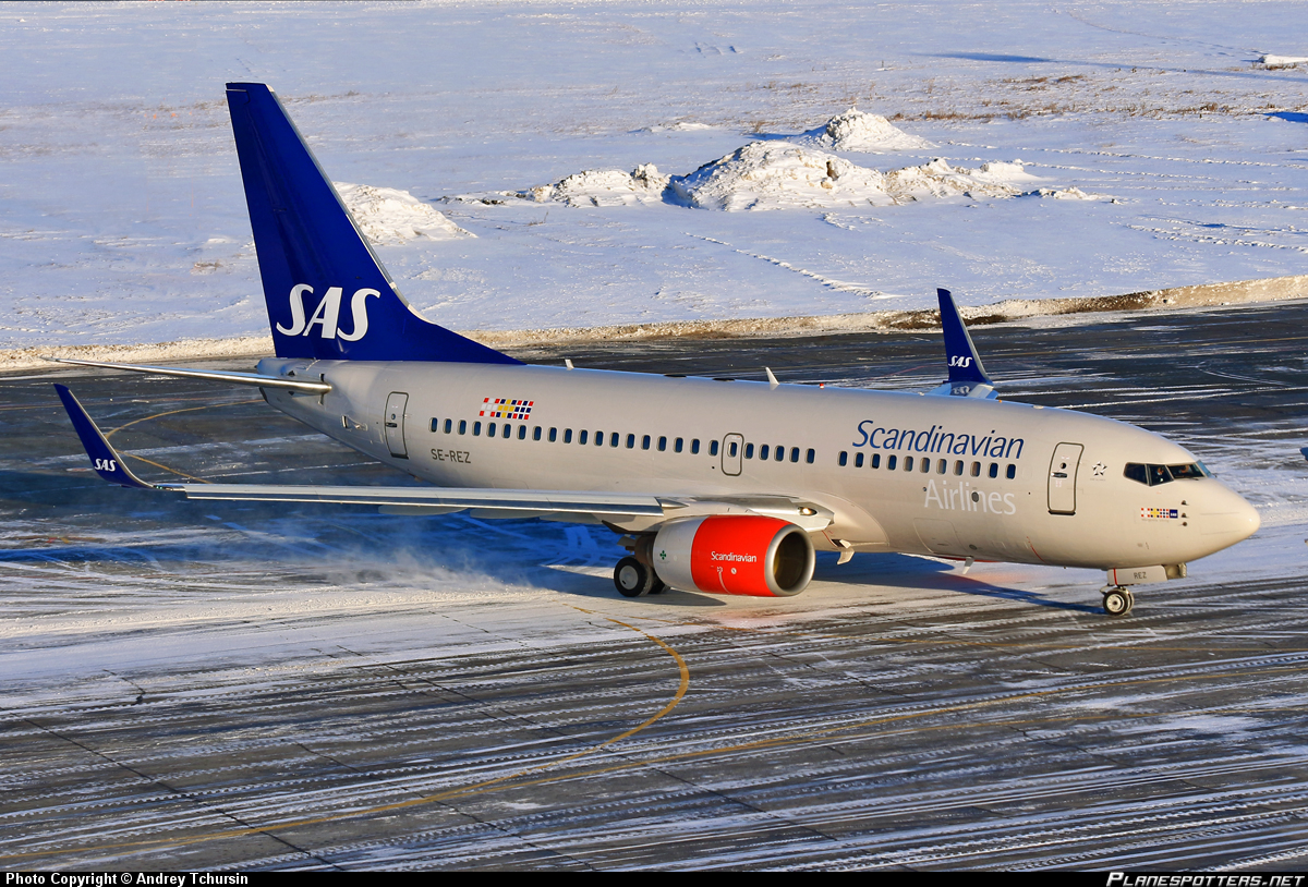 scandinavian airlines - uludağ sözlük